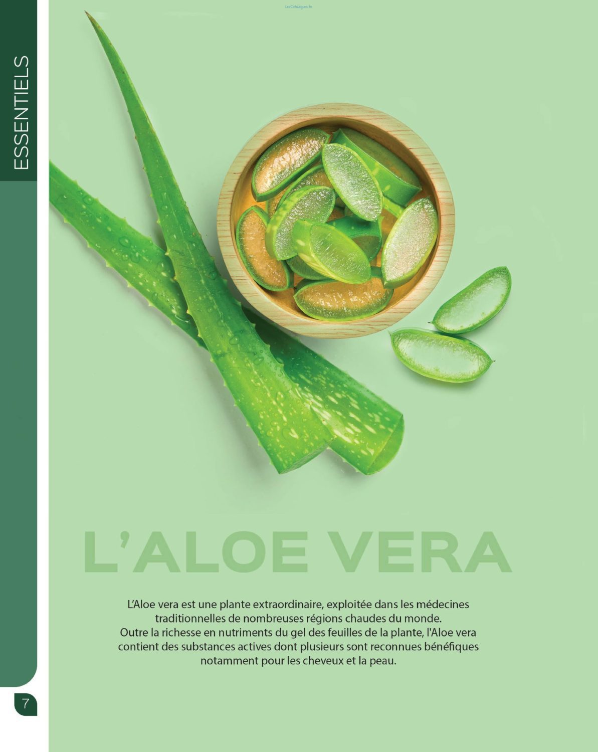 Catalogue Arvea Tunisie: promotions Arvea nature novembre 2023