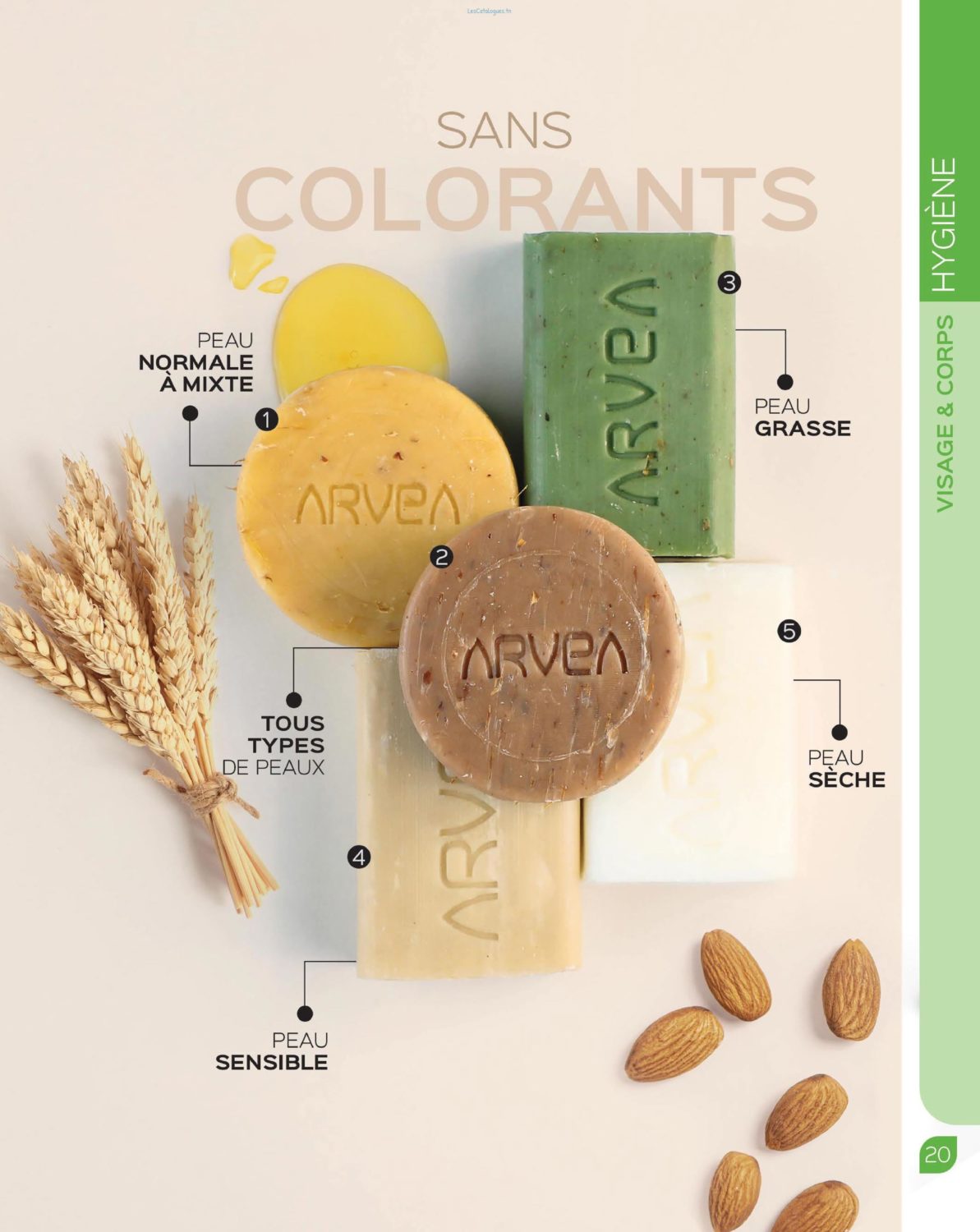 Catalogue Arvea Tunisie: promotions Arvea nature novembre 2023