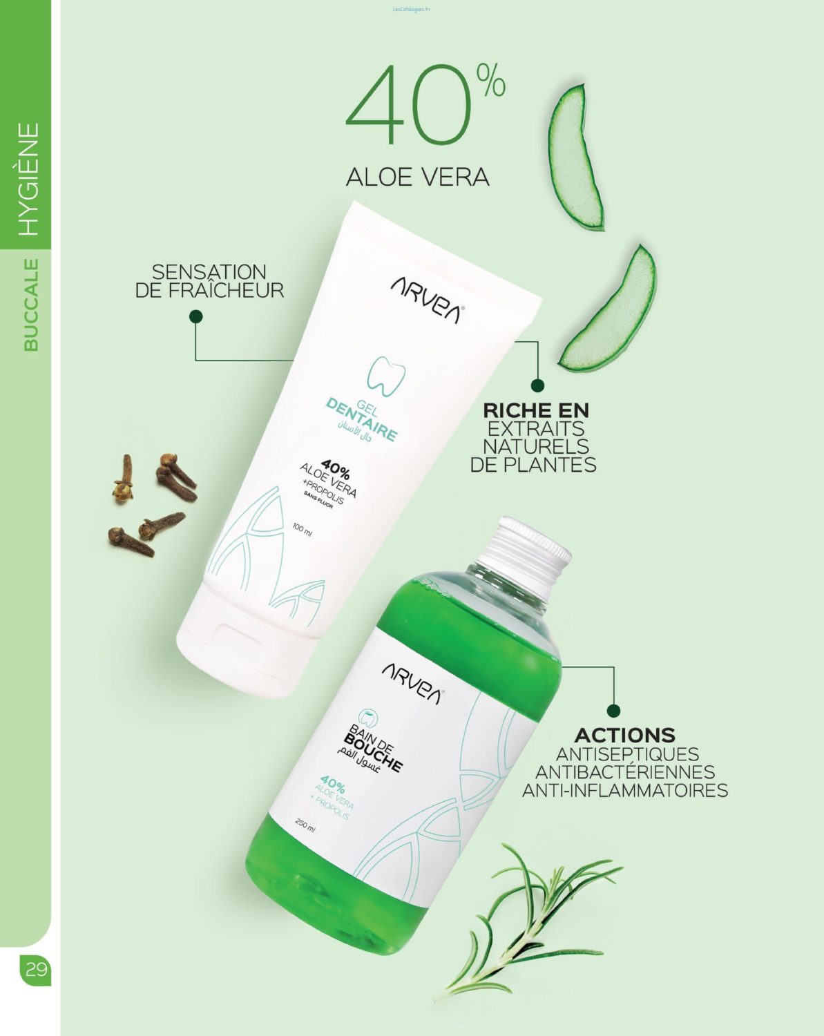 Catalogue Arvea Tunisie: promotions Arvea nature novembre 2023