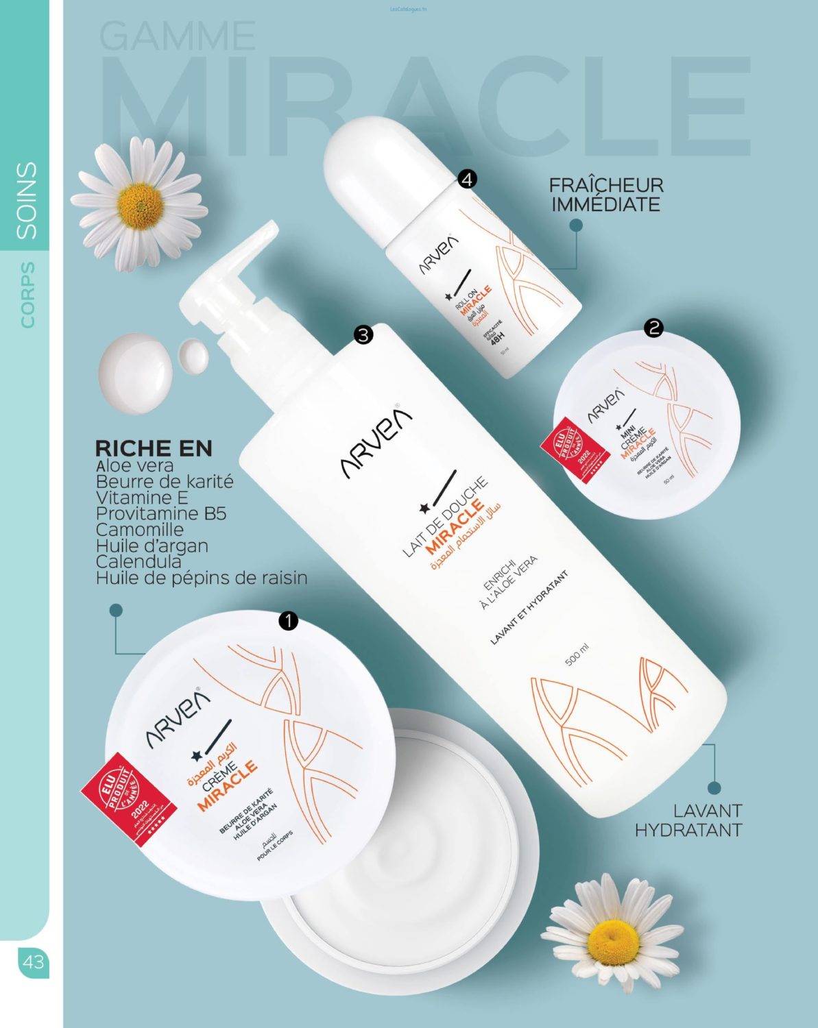 Catalogue Arvea Tunisie: promotions Arvea nature novembre 2023